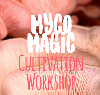 Myco-Magic Cultivation Workshop – Wild Culture Mushrooms