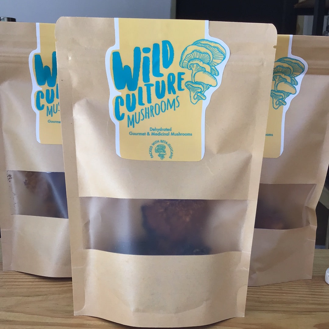 2 oz Dried Chaga BAG Mushrooms – Wild Culture Mushrooms